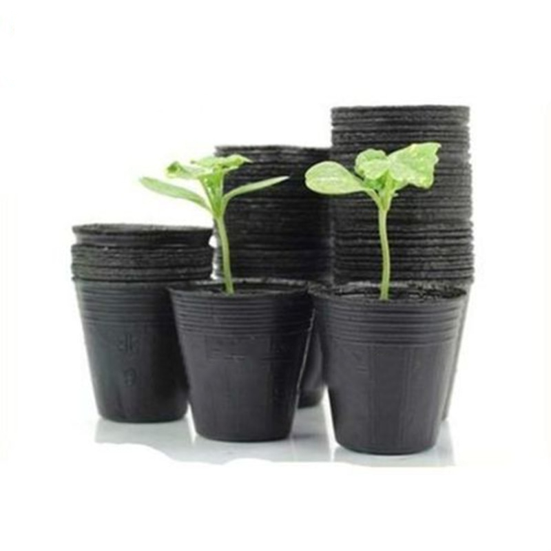 Biodegradable Plant Nutrition Pots - Garden Wizard Shop