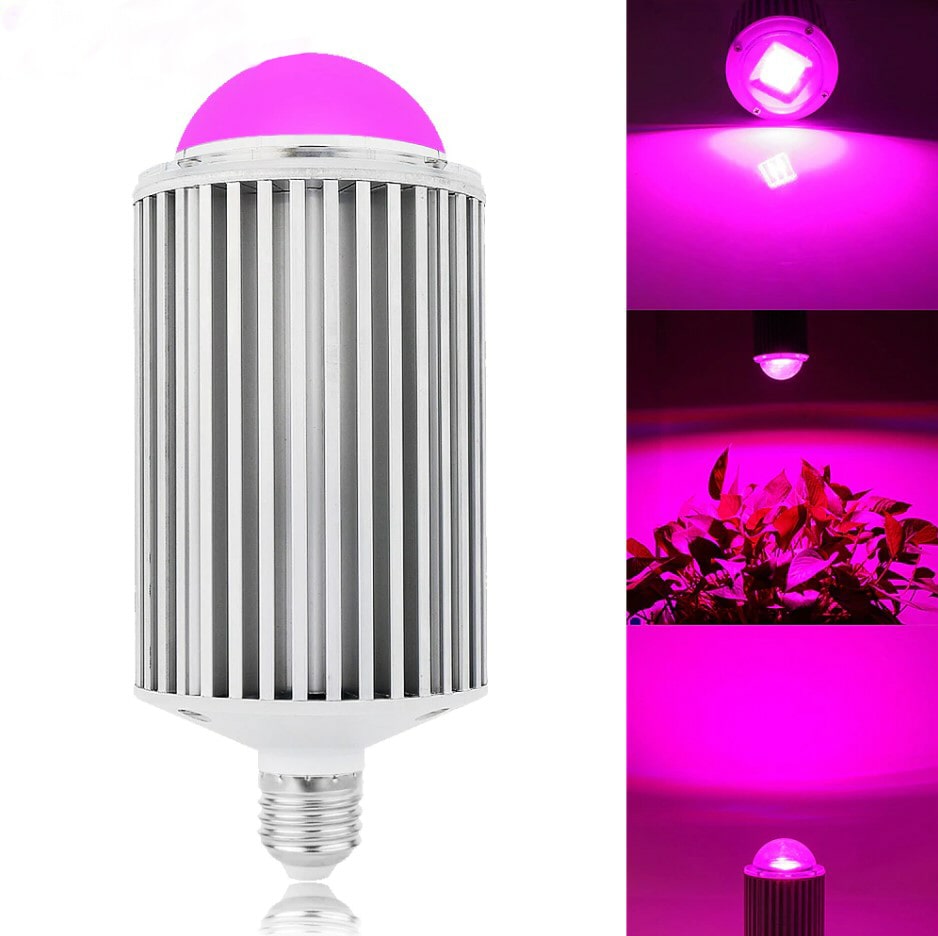 Full Spectrum COB Bulb - Garden Wizard Shop