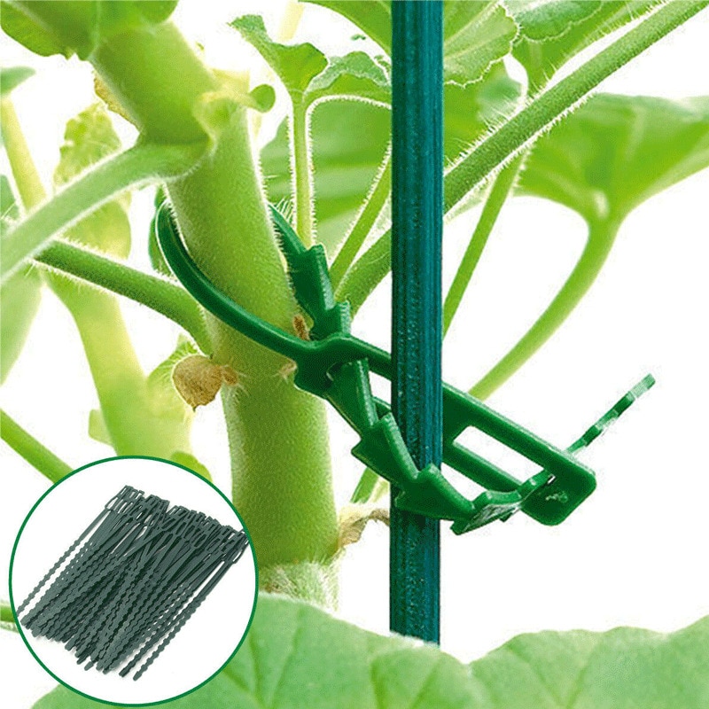 Plant Growing Support Cables 100 PCS/Set - Garden Wizard Shop