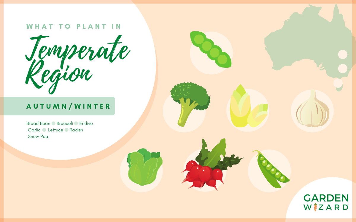 What to Plant: Australian Planting Guide - Garden Wizard Shop