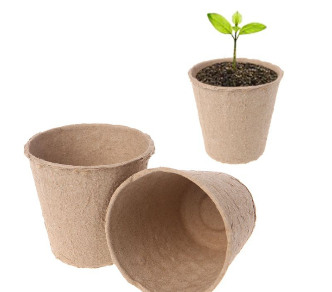 "Eco-Friendly Gardening: Tips from Garden Wizard Shop"